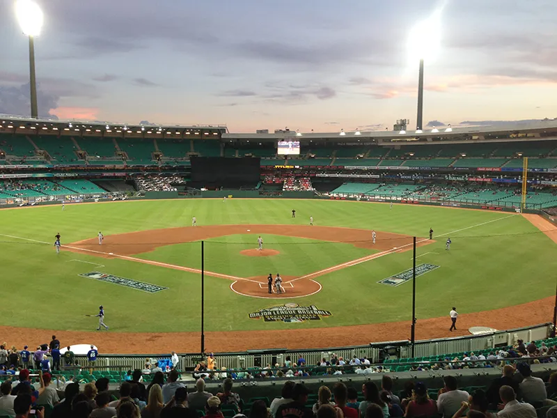 Jimmy Ross - Greenspace 4D